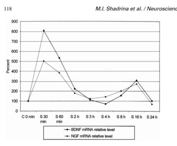 Semax Review: Nootropic Effects, Dosage & Where to Buy