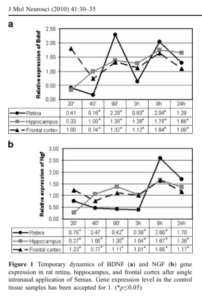 Semax Review: Nootropic Effects, Dosage & Where to Buy