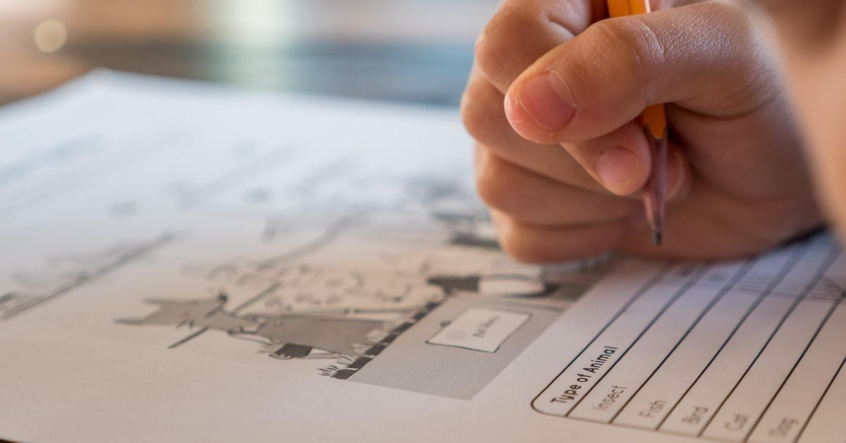 9-Me-BC: Review of Nootropic Benefits, Uses, Dosage, & Side Effects