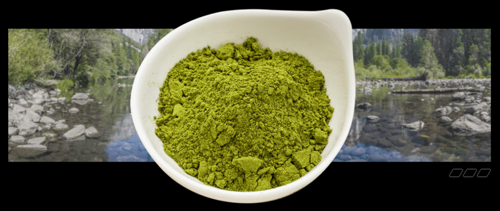 Alpha Brain Review: Best Onnit Nootropic in 2023? Customer Reviews and ...