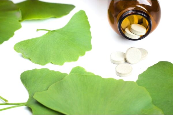 Ginkgo Biloba: Review of Nootropic Benefits, Uses, & Side Effects