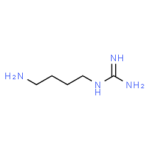 Agmatine: Nootropic Benefits, Uses, Dosage, & Side Effects