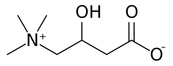 L-Carnitine: Nootropic Benefits, Uses, Dosage, & Side Effects