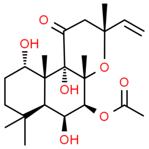 Forskolin: Nootropic Benefits, Uses, Dosage, & Side Effects