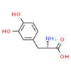 L-Dopa (Levodopa): Nootropic Benefits, Uses, Dosage, & Side Effects