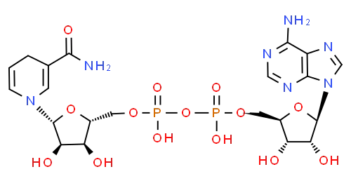 Nicotinamide Adenine Dinucleotide (NADH): Nootropic Benefits, Uses ...